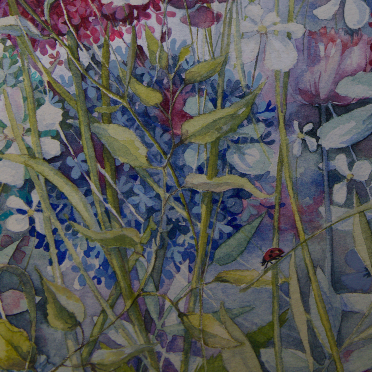 Exciting new floral prints | Catherine J Stephenson