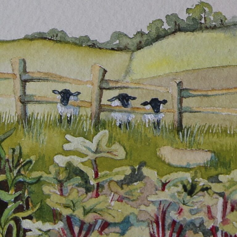 What are the sheep so interested in? | Catherine J Stephenson